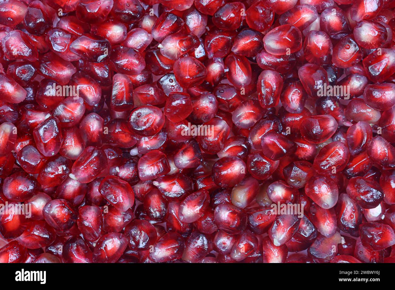 Full background texture of peeled pomegranate seeds Stock Photo - Alamy