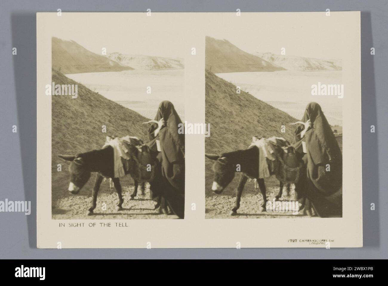 Person with donkey, near Tell Fara, Richard St. Barbe Baker, 1929 ...