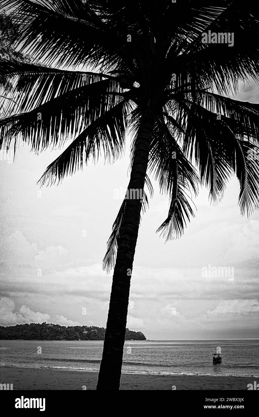 Thai typical boat Black and White Stock Photos & Images - Alamy