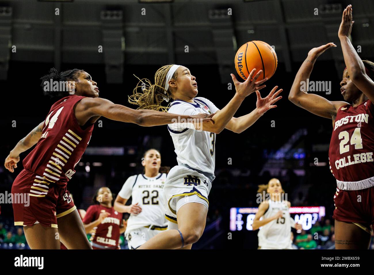 2024 0293 jpg hi-res stock photography and images - Alamy