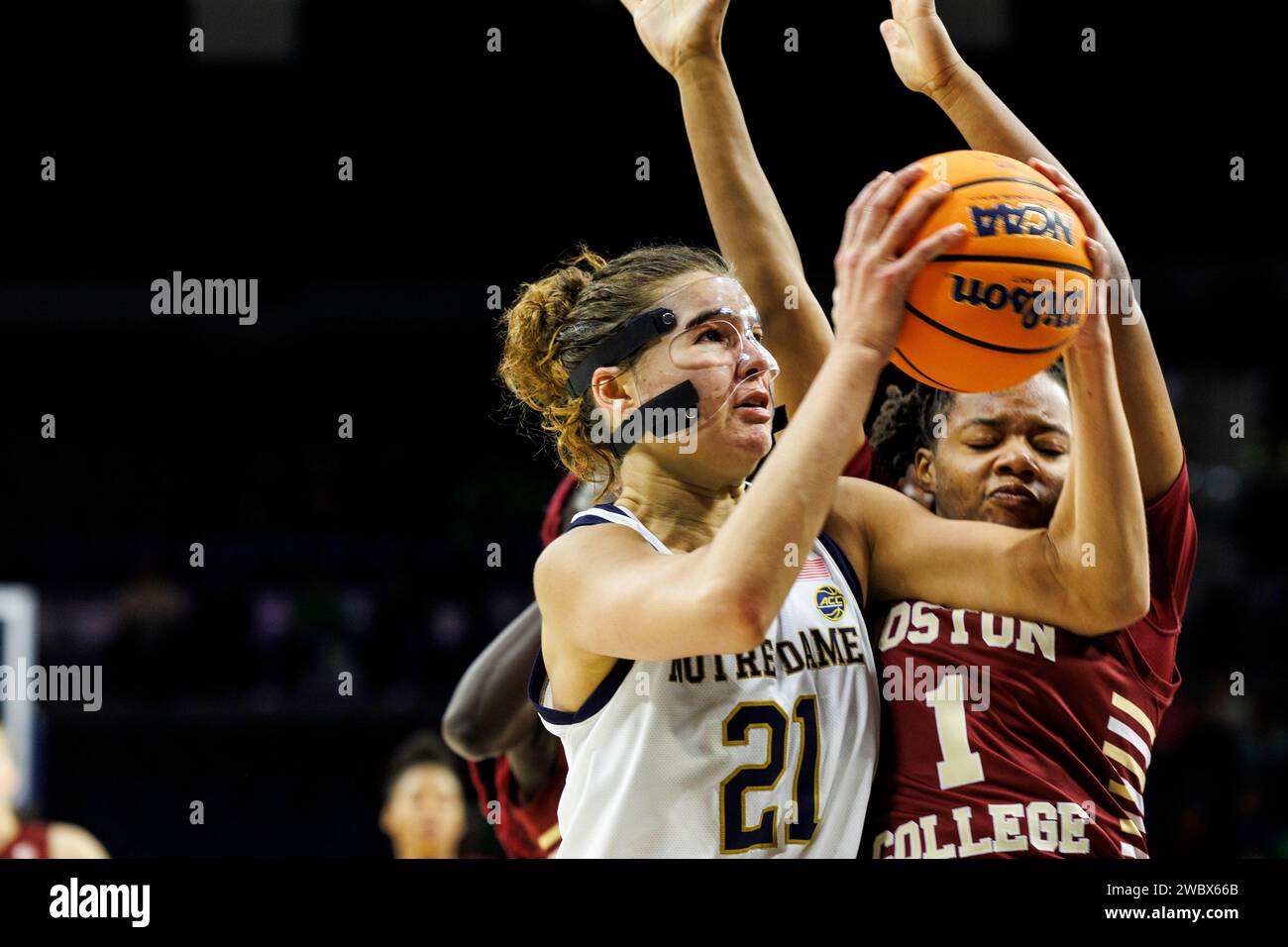 2024 0264 jpg hi-res stock photography and images - Alamy