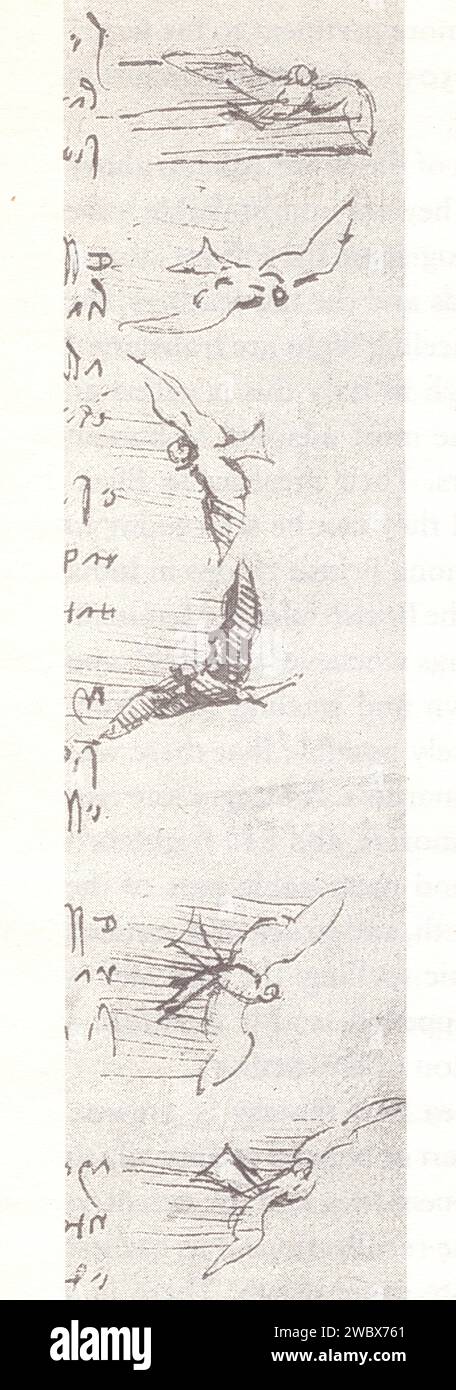 LEONARDO DA VINCI. BIRDS IN FLIGHT FROM THE TURIN CODEX.1505 Stock ...