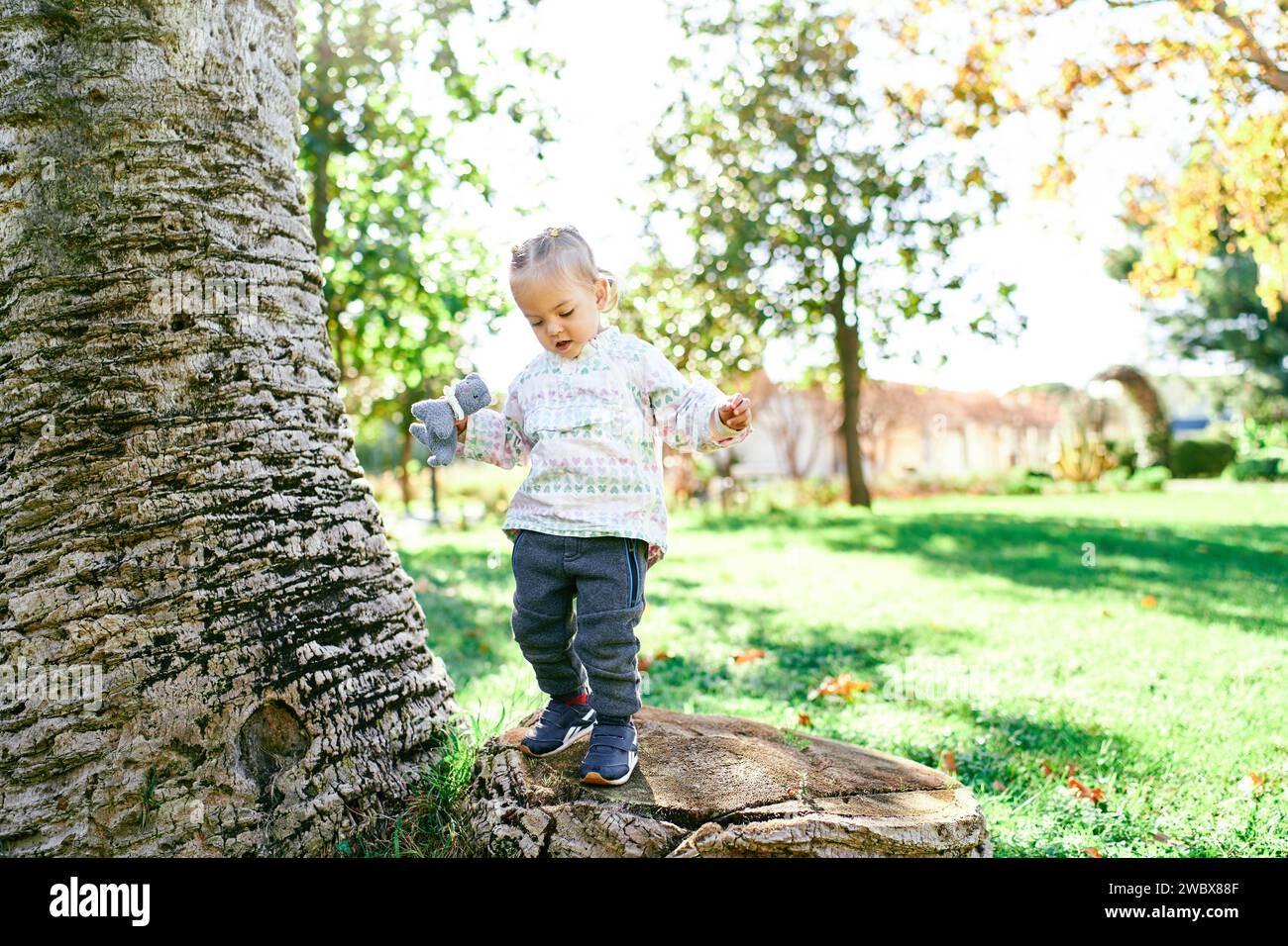 Little girl with a toy in her hand walks on a huge stump in the garden Stock Photo - Alamy