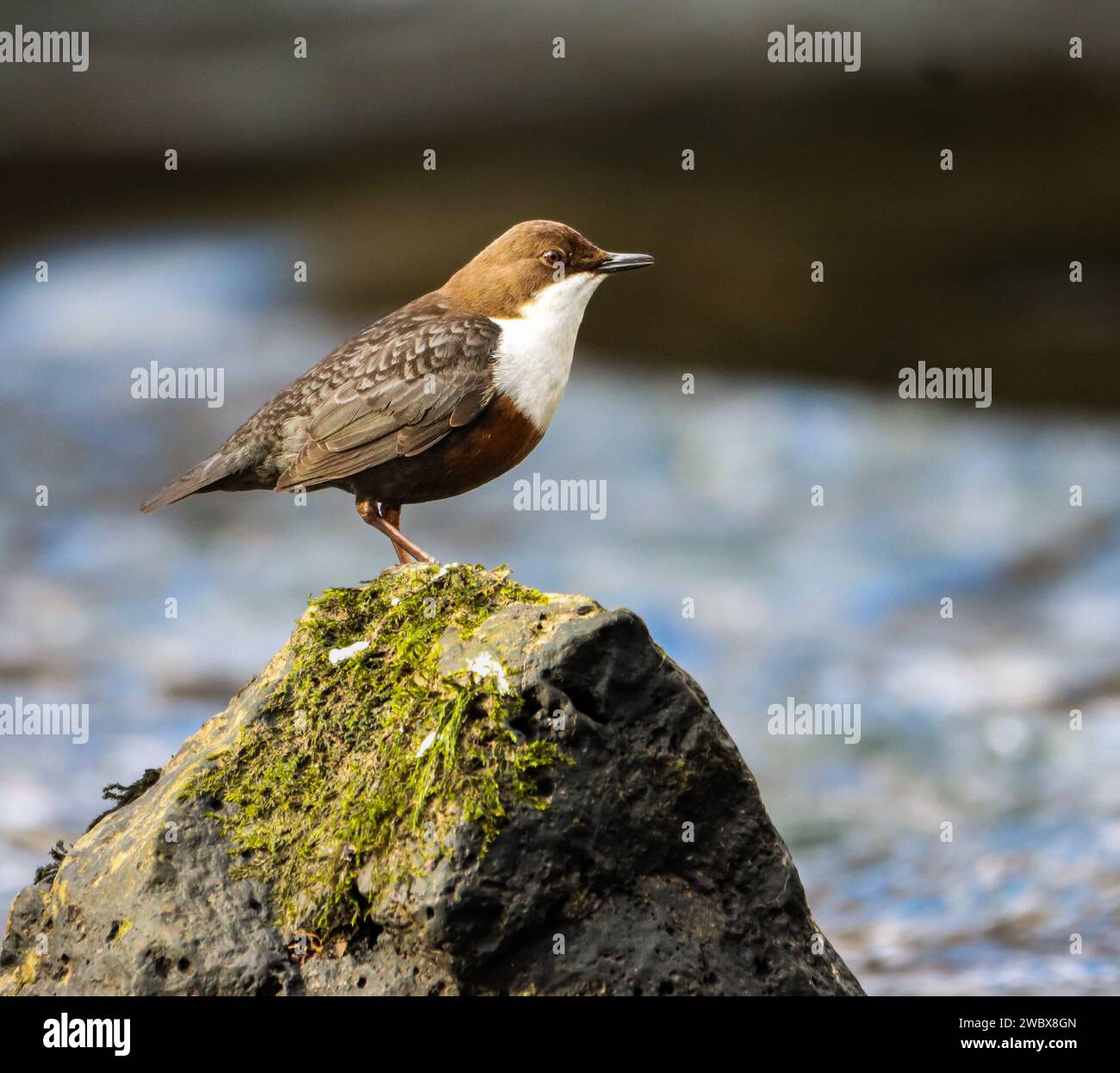 Cynon wales hi-res stock photography and images - Alamy