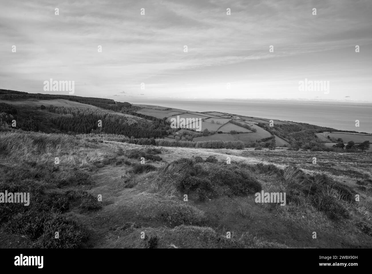 View of Porlock Common at the top of Porlock Hill in Exmoor Natioanl ...