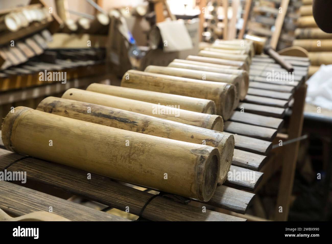 The Tumac Foundation has been working for 50 years to preserve the ...