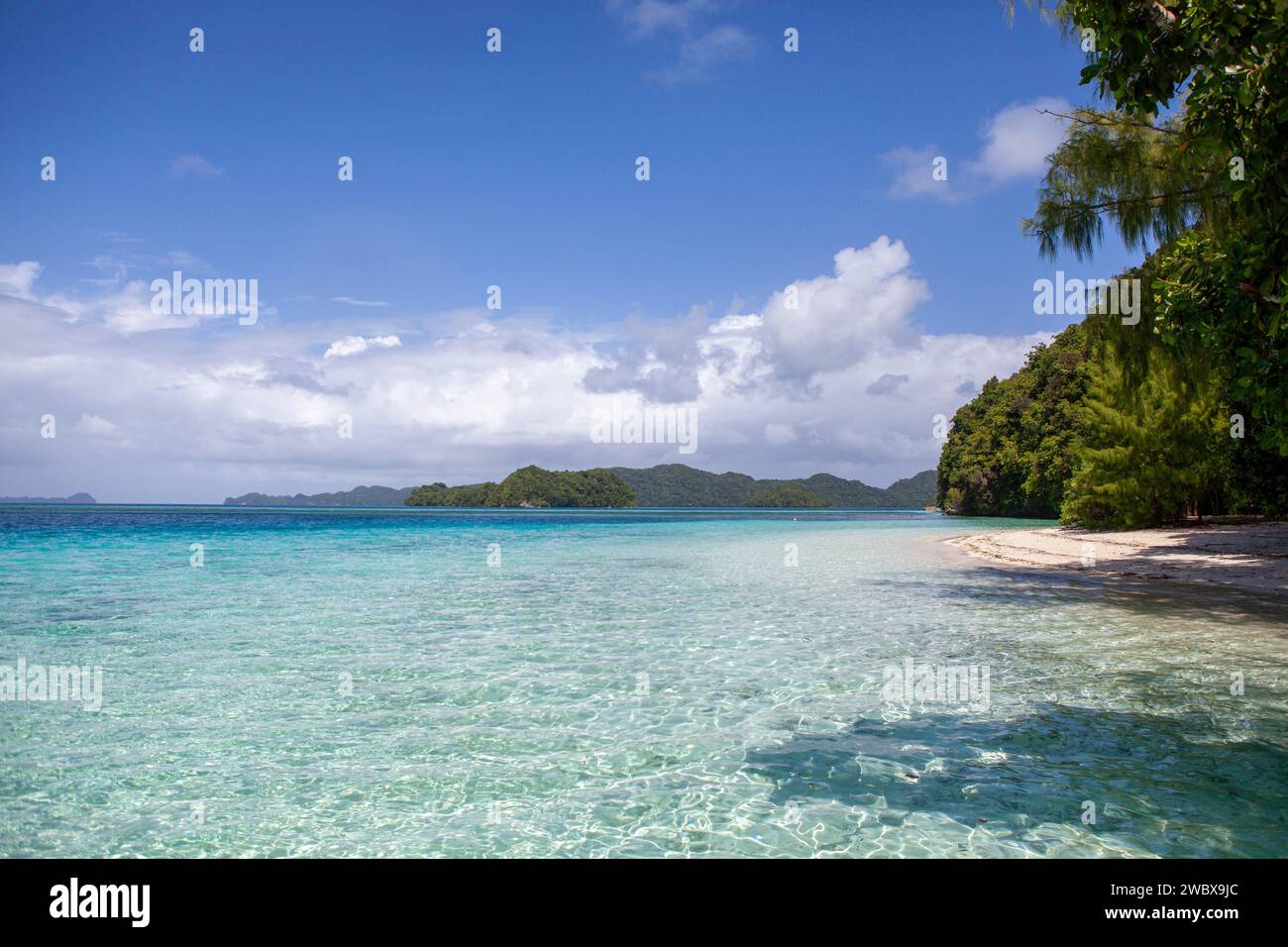Beautiful clear water beaches of Palau, Micronesia Stock Photo - Alamy