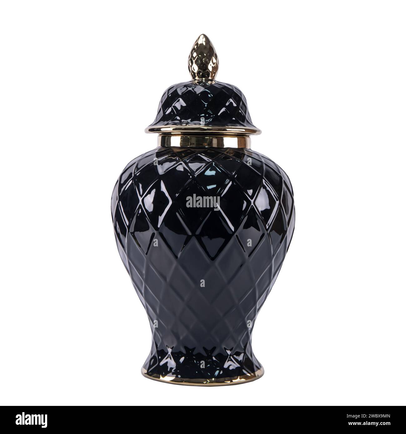 Luxury porcelain vase for artificial and fresh flowers isolated on ...