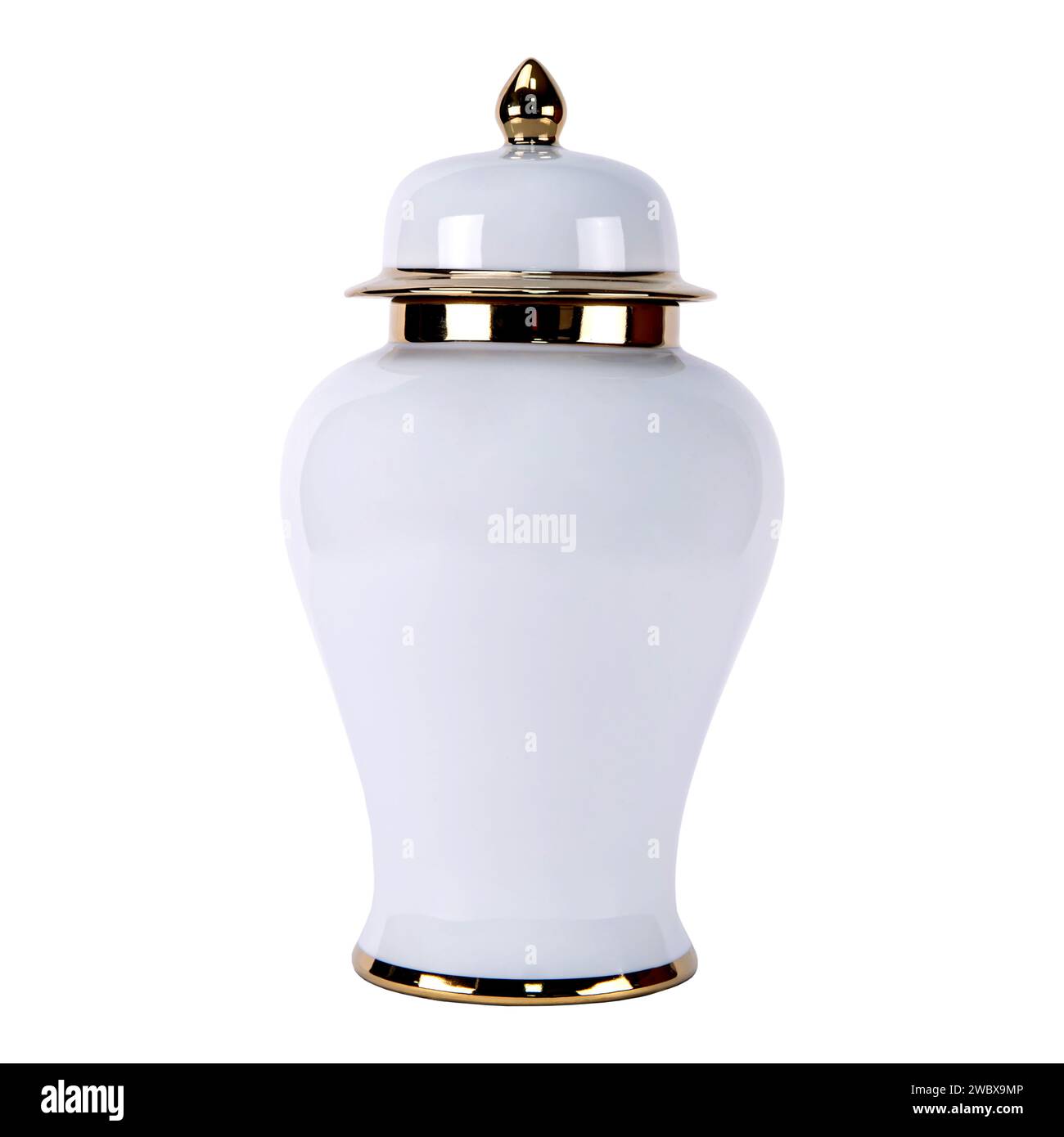 Luxury porcelain vase for artificial and fresh flowers isolated on ...