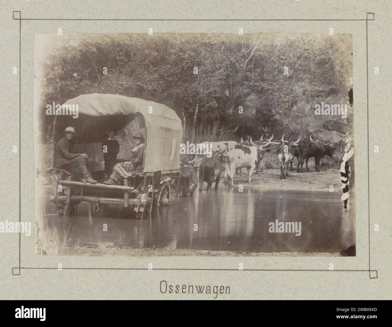Ox wagon with passengers crosses water in South Africa, c. 1880 - c ...