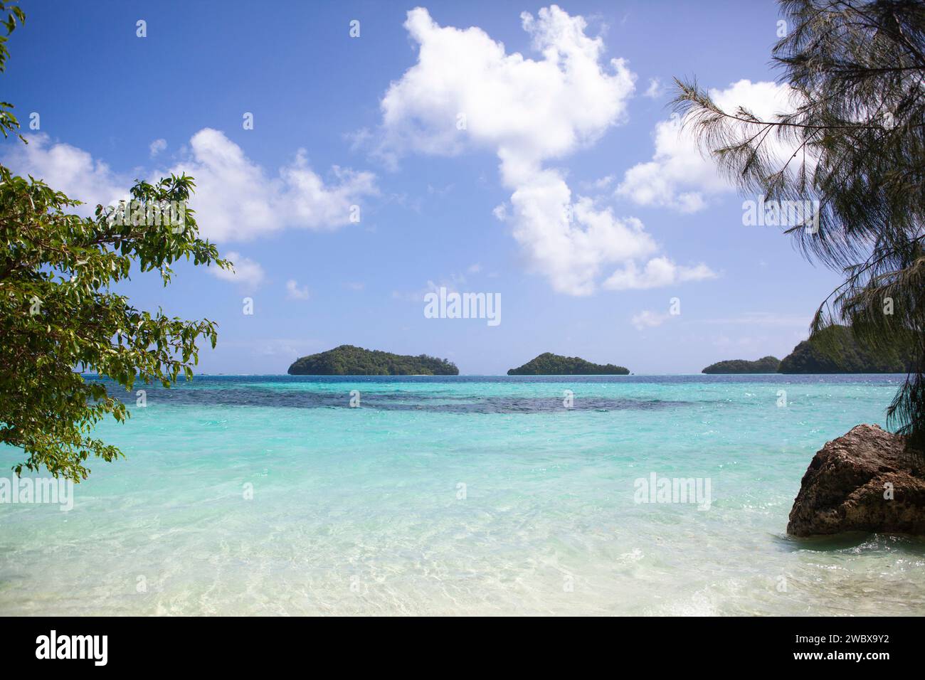 Beautiful clear water beaches of Palau, Micronesia Stock Photo - Alamy
