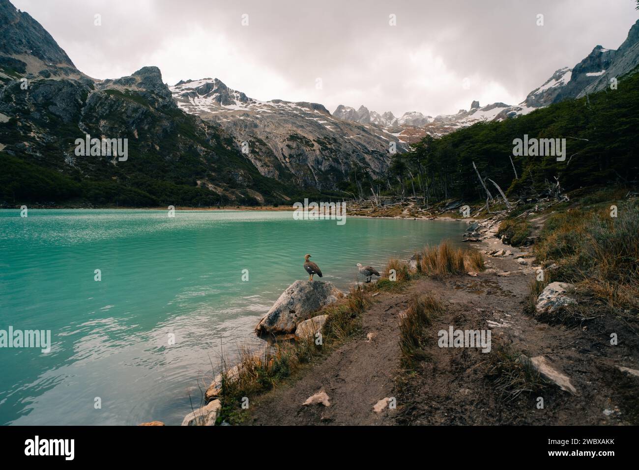 Emerald green lake mountainous landscape hi-res stock photography and images - Alamy