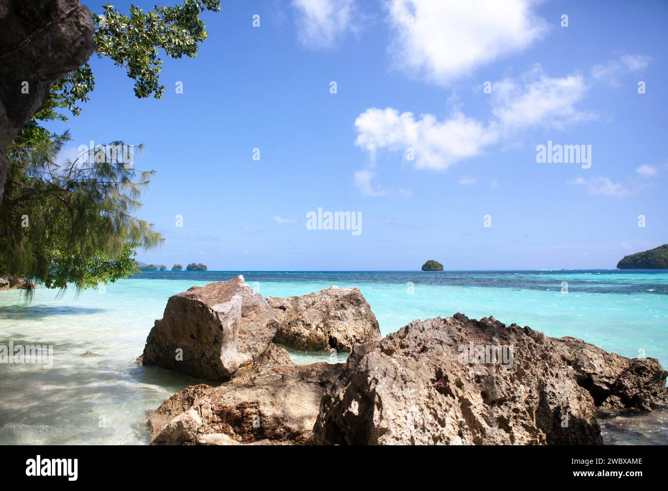 Beautiful clear water beaches of Palau, Micronesia Stock Photo - Alamy