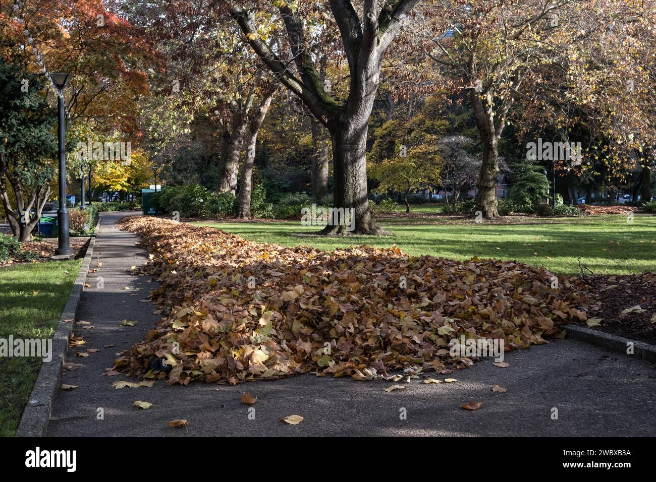 Denny park hi-res stock photography and images - Alamy