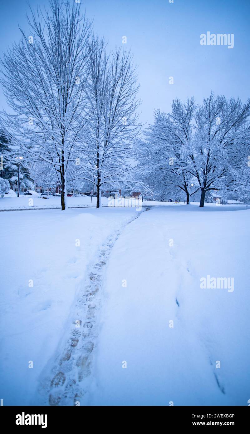 A serene winter scene featuring a small park area blanketed in a ...