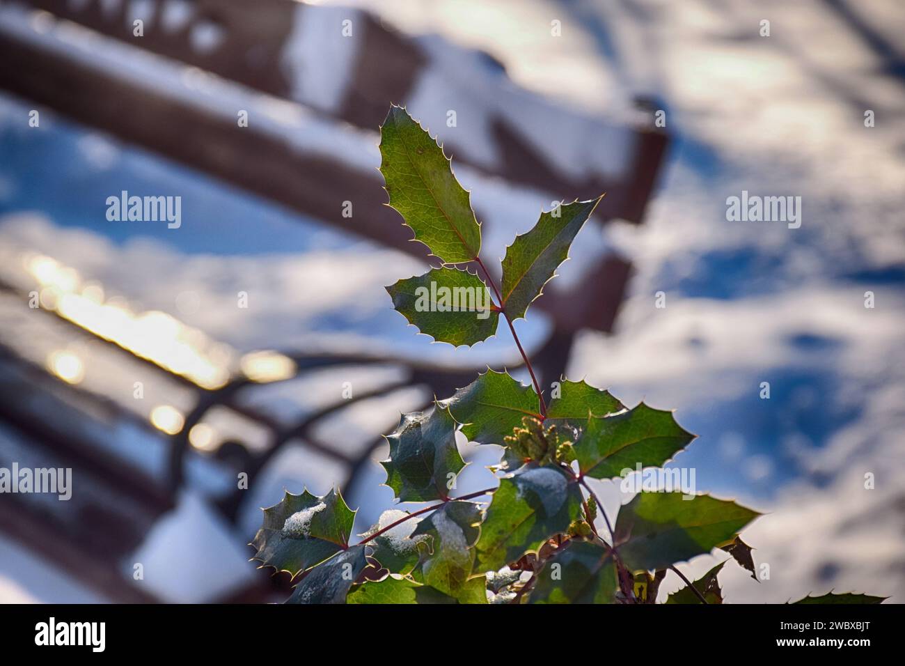 The empty wooden table top with blur background of winter in Finland ...