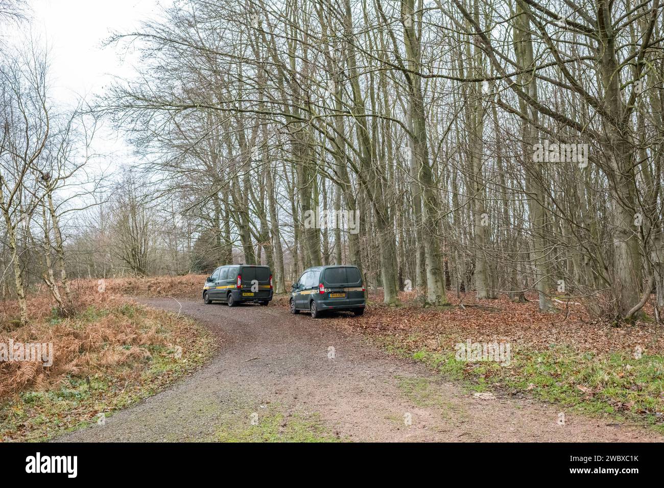 Two Forestry commission vehicles parked on a woodland track Stock Photo ...