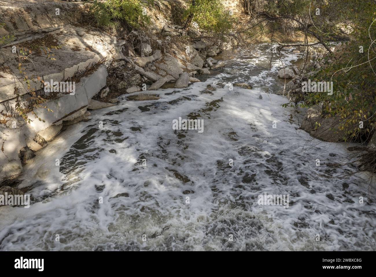 Foam in the water generated by a small jump in a stream Stock Photo - Alamy