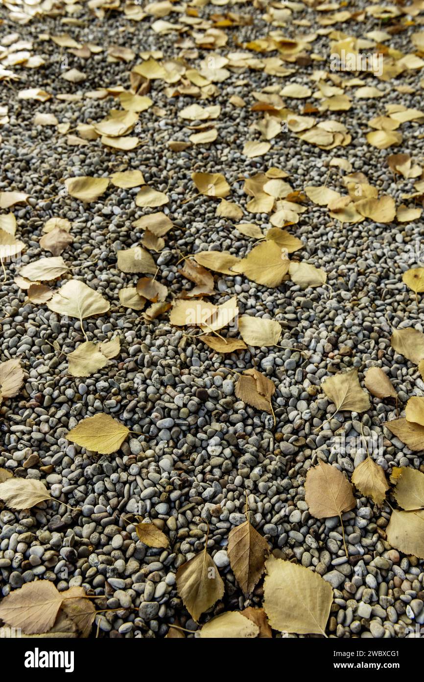 Gravel floor hi-res stock photography and images - Alamy