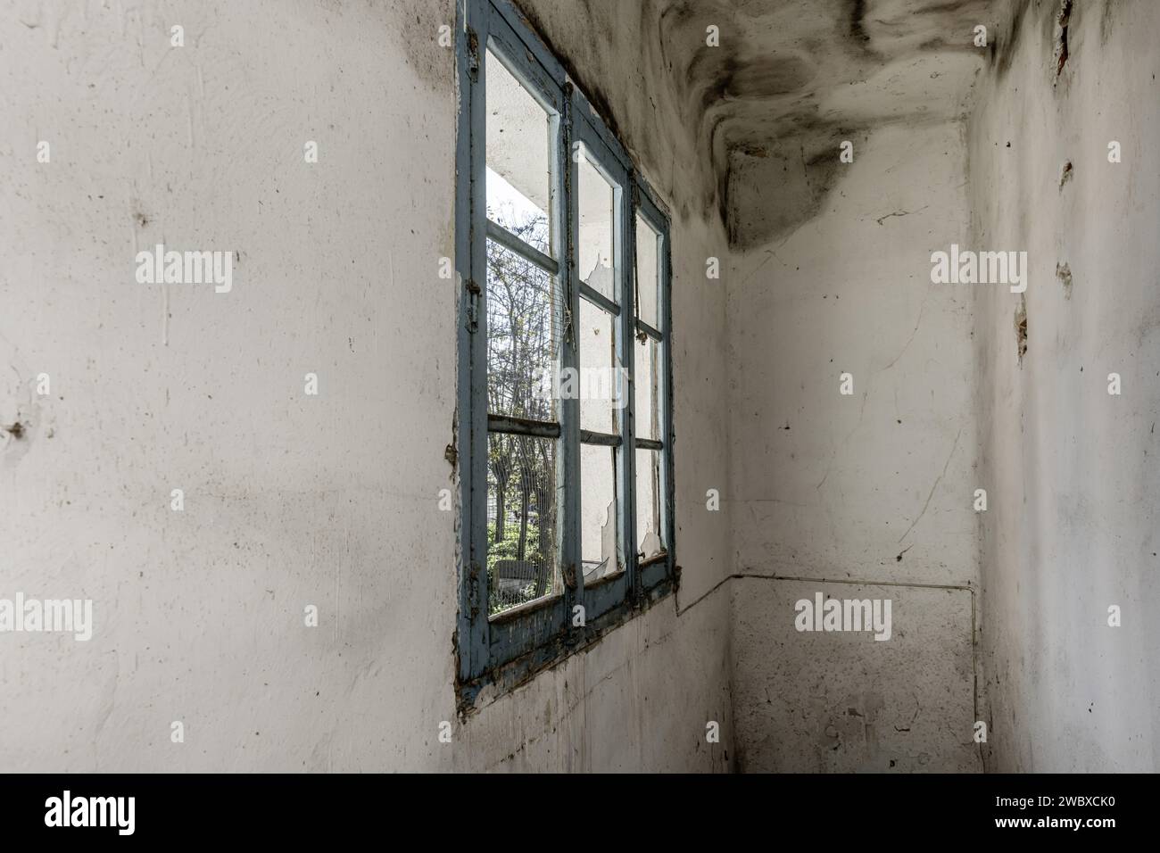 Wooden window of an old abandoned building with large damp Stock Photo ...
