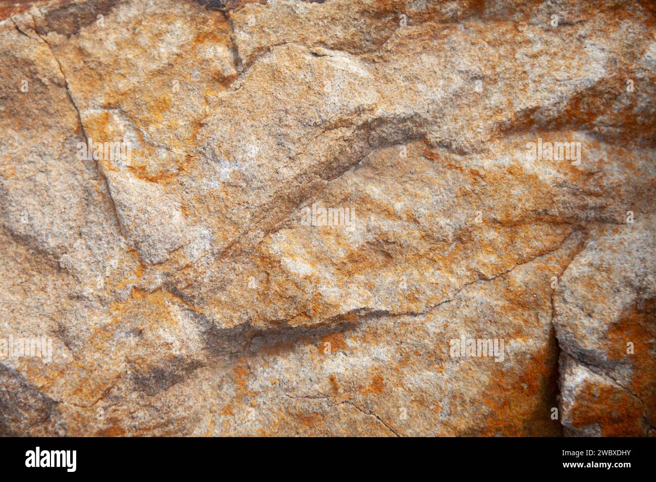 Tan Rock Background Reclaimed New England Cobblestones Medium Worn