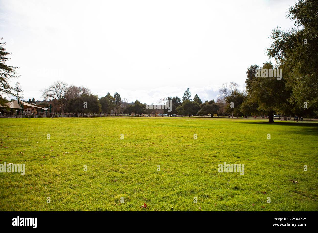 Open country field hi-res stock photography and images - Alamy