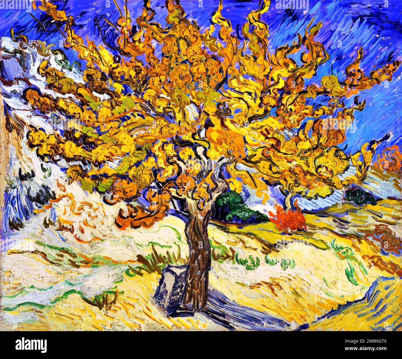 1889 vincent van gogh Stock Vector Images - Alamy