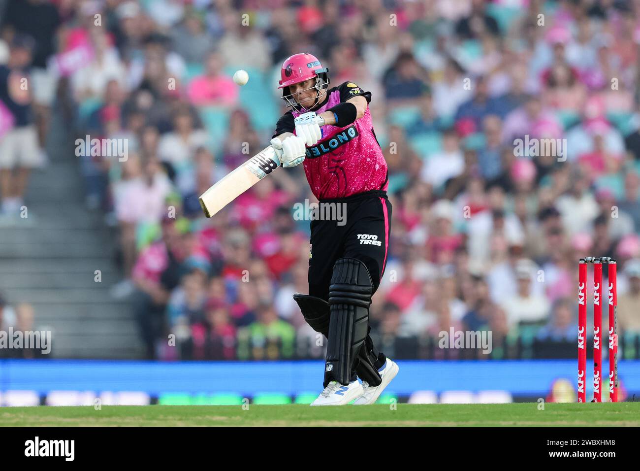 Sydney, Australia, 12 January, 2024. Sydney Sixers player Steve Smith ...