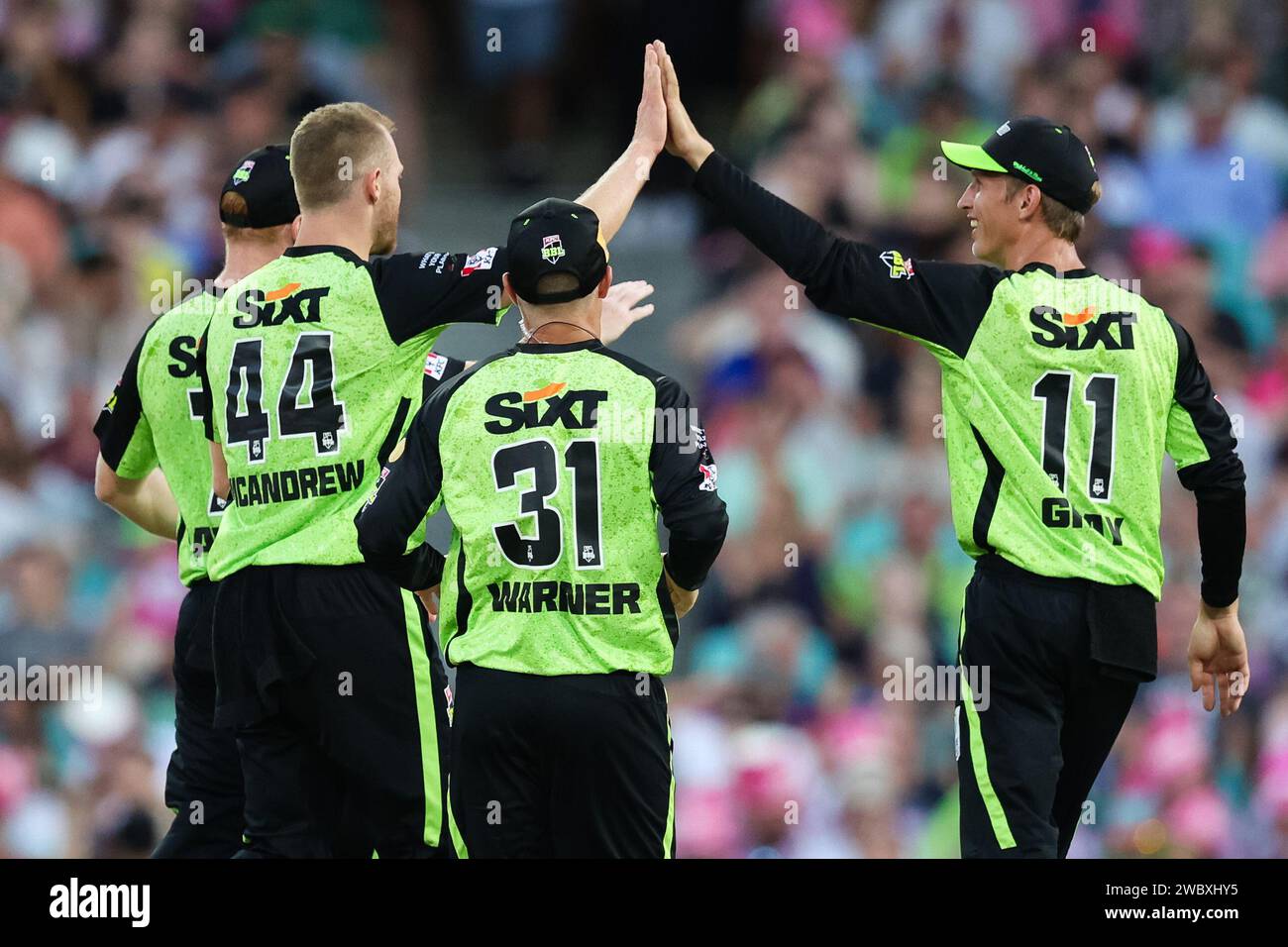 Cricket player moises henriques hi-res stock photography and images - Alamy