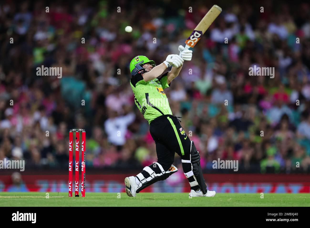 Sydney, Australia, 12 January, 2024. Sydney Thunder player David Warner hits the ball during the ...