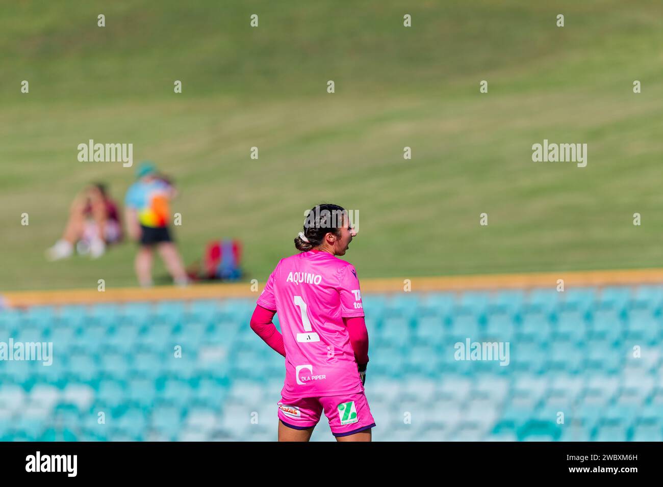 Morgan aquino hi-res stock photography and images - Alamy