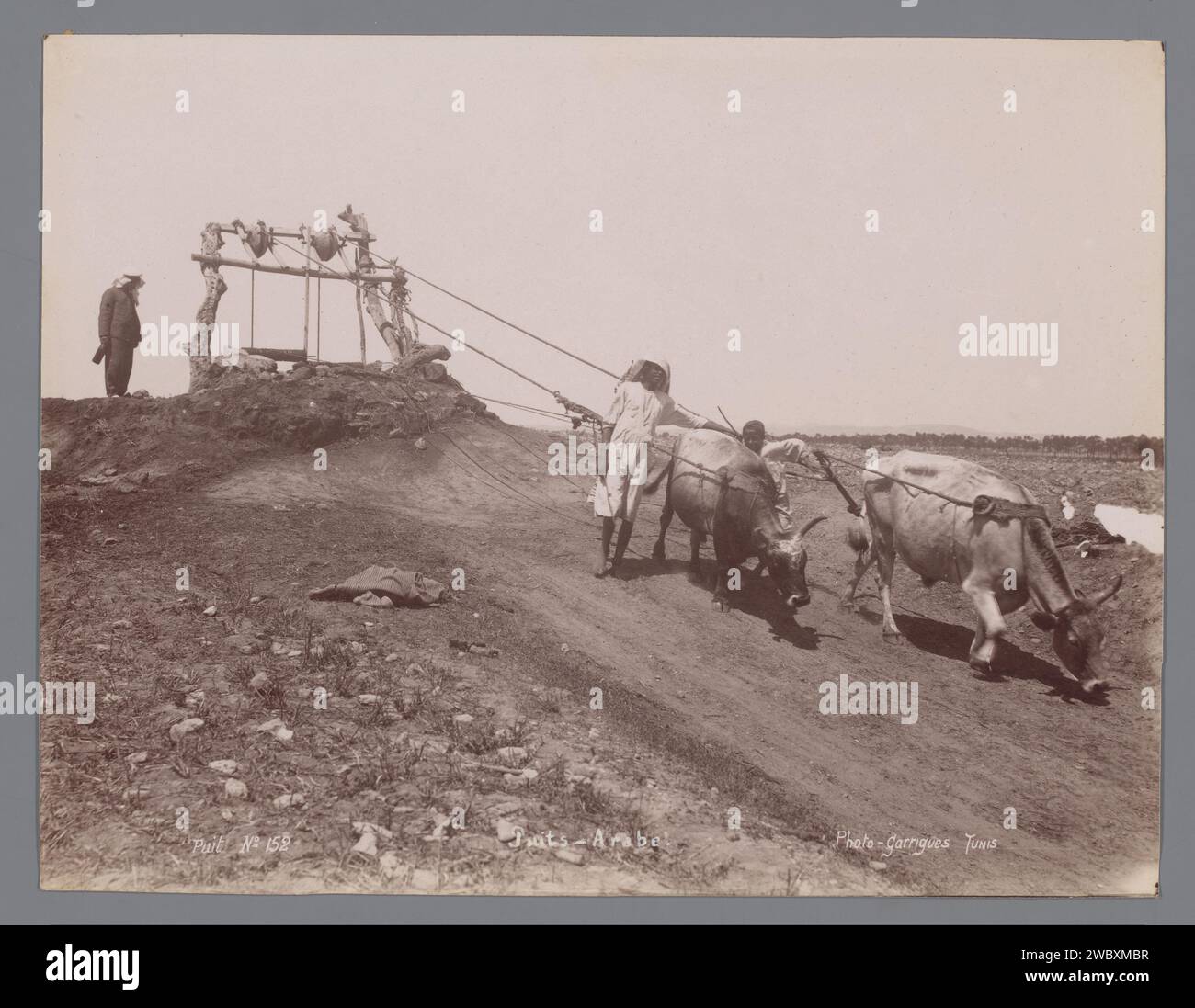 Cows hoist water from a well, J. André Garrigues, 1860 - 1900 ...