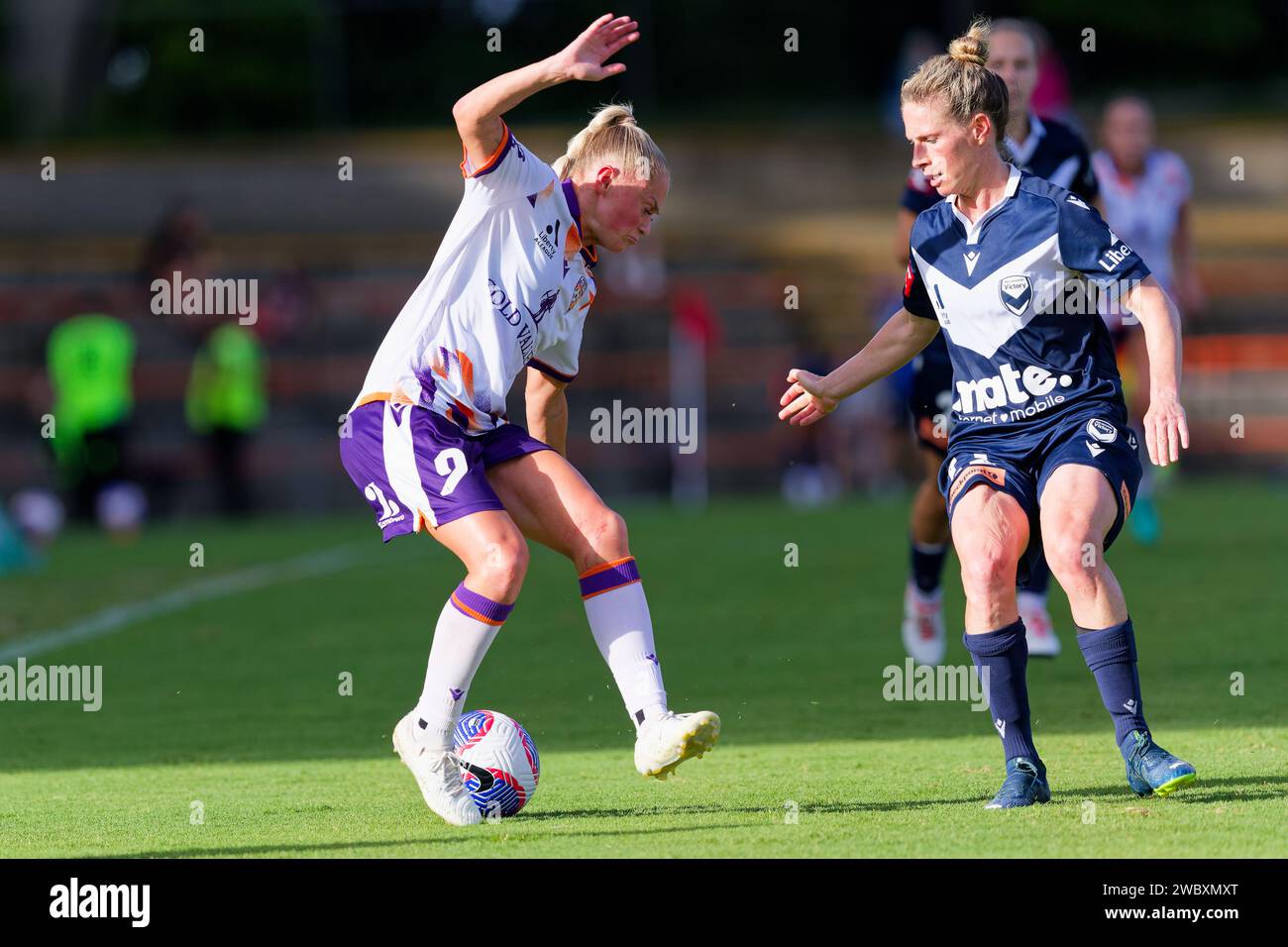 Elise adult hi-res stock photography and images - Alamy