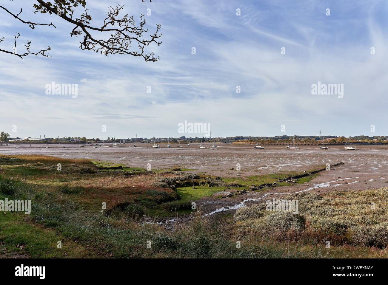 Low tides, Mistley Walls, Essex looking towards Cattawade Stock Photo ...