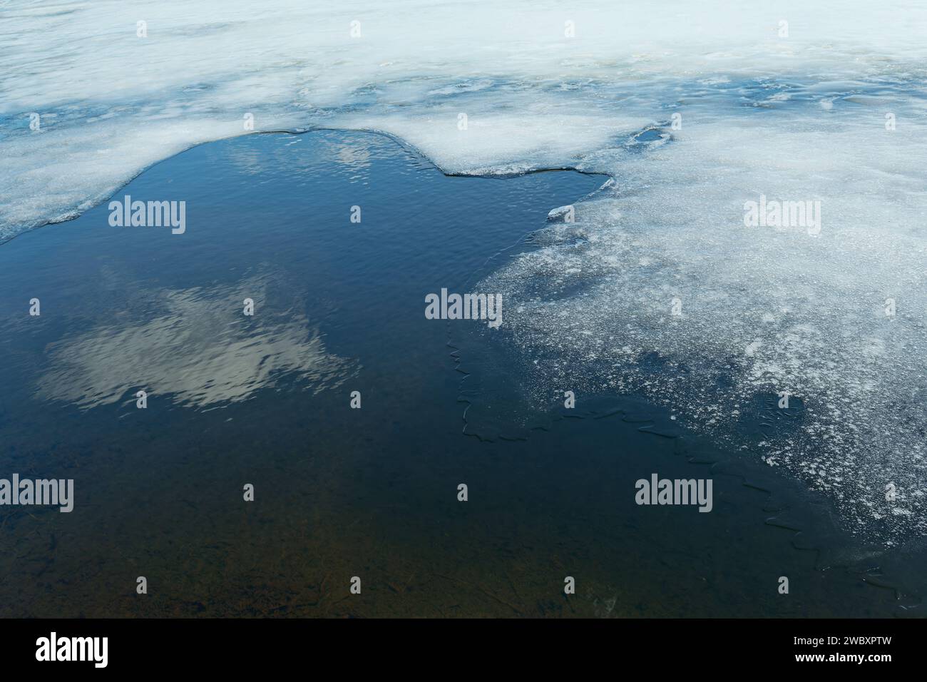 A layer of ice covers the surface of a pond surrounding a reflected ...