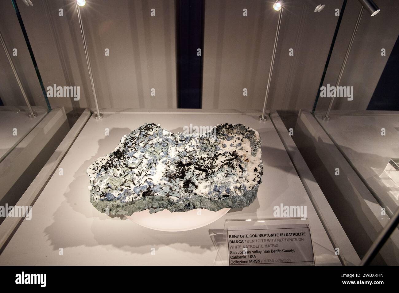 Italy Piedmont Turin The Regional Museum of Natural Sciences ...