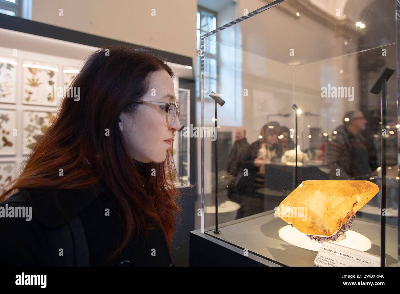 Italy Piedmont Turin The Regional Museum of Natural Sciences - Credit ...