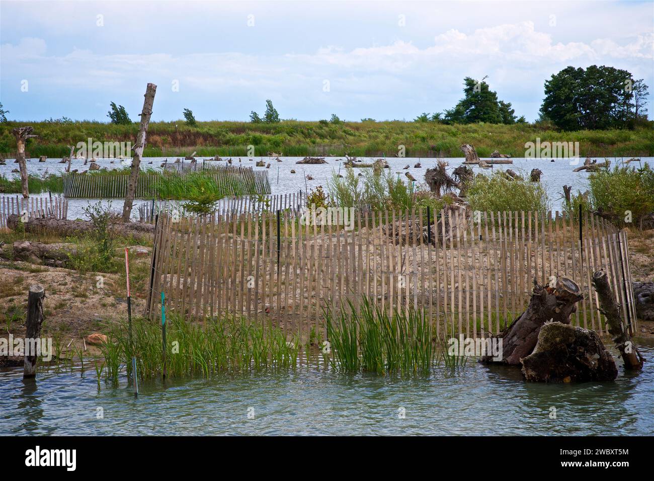 The landscape of Toronto lakeshore in Ontario, Canada, a reclaimed land ...