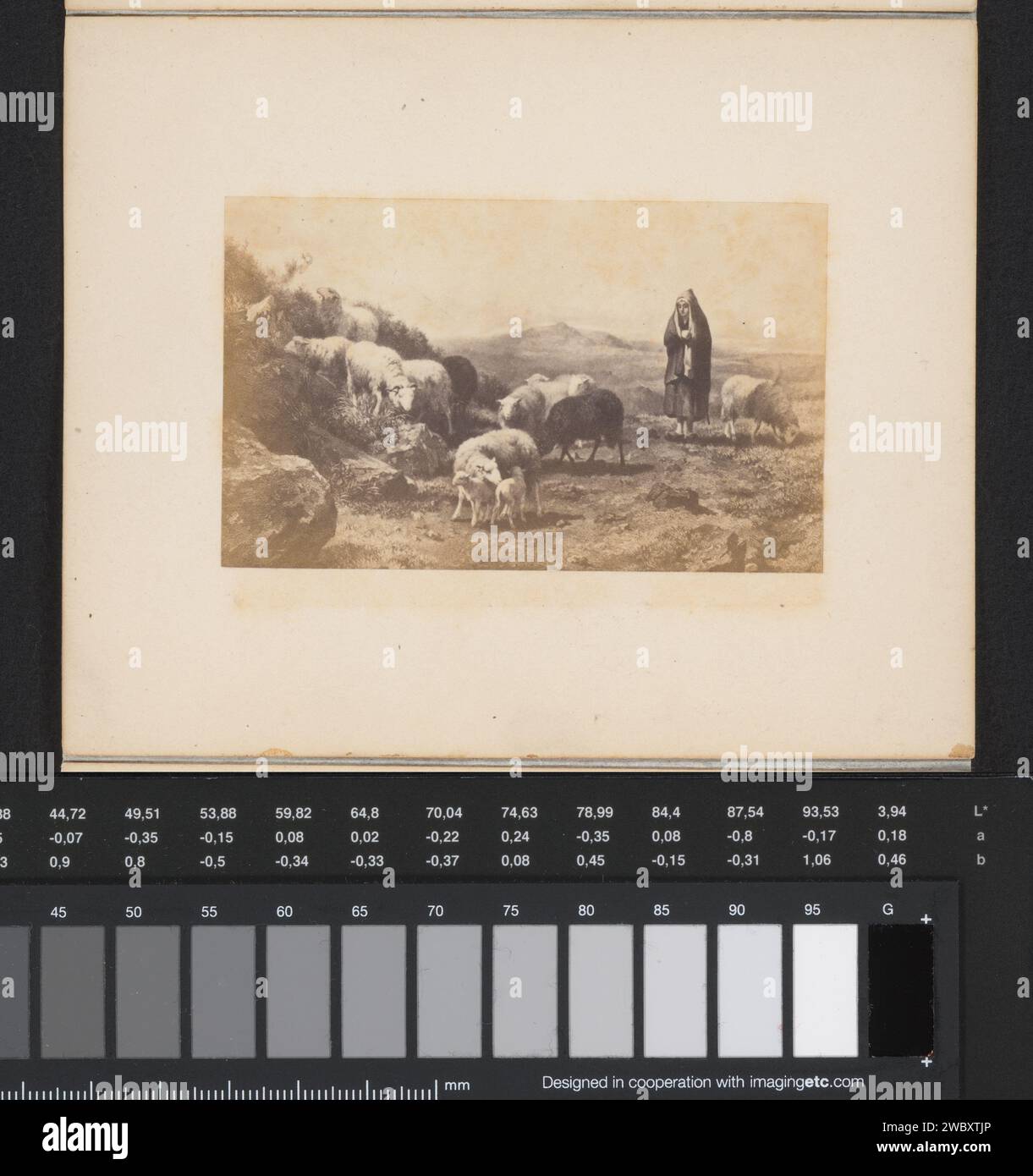 Photo production of a painting by Rosa Bonheur from a shepherd with ...