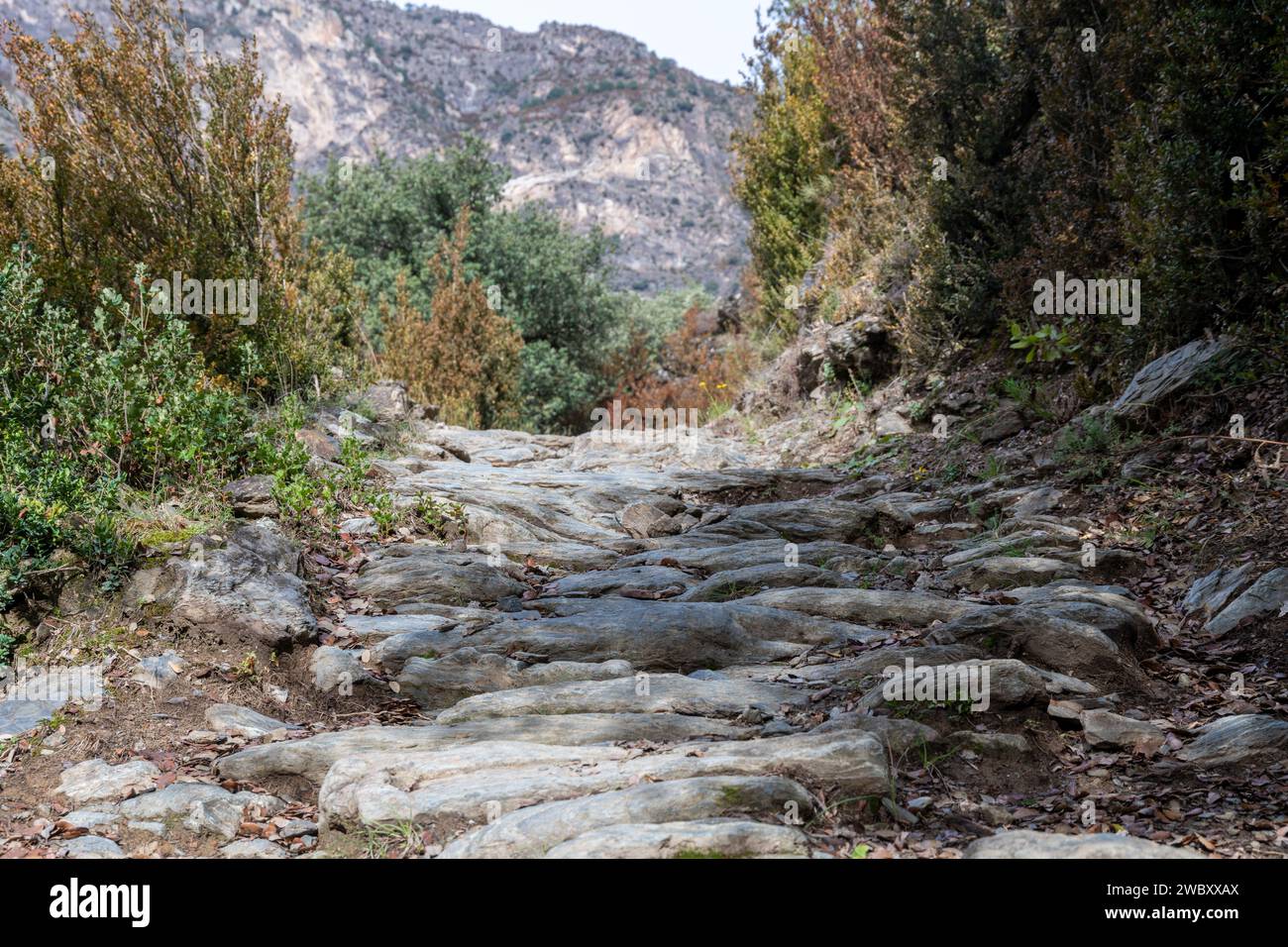 A hiking trail made of rough stone, which has developed naturally and ...