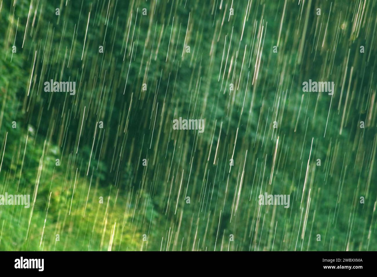 many bright raindrops of a rain shower against green background, motion ...