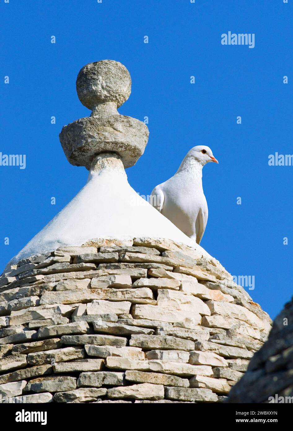 closeup of conical roof or cone roof of Trullo House against blue sky ...