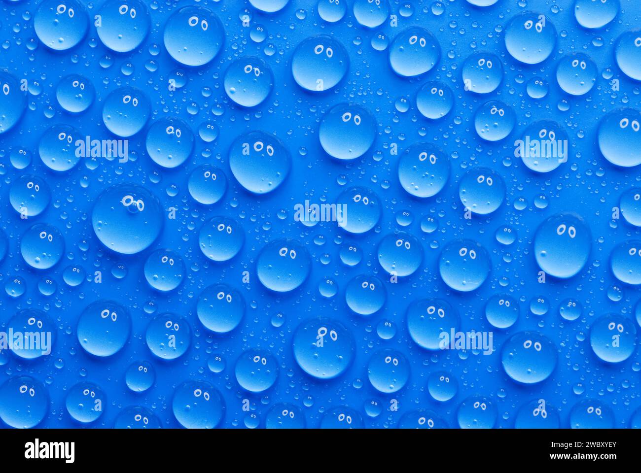 closeup, macro of many water drops, droplets, on a blue surface ...