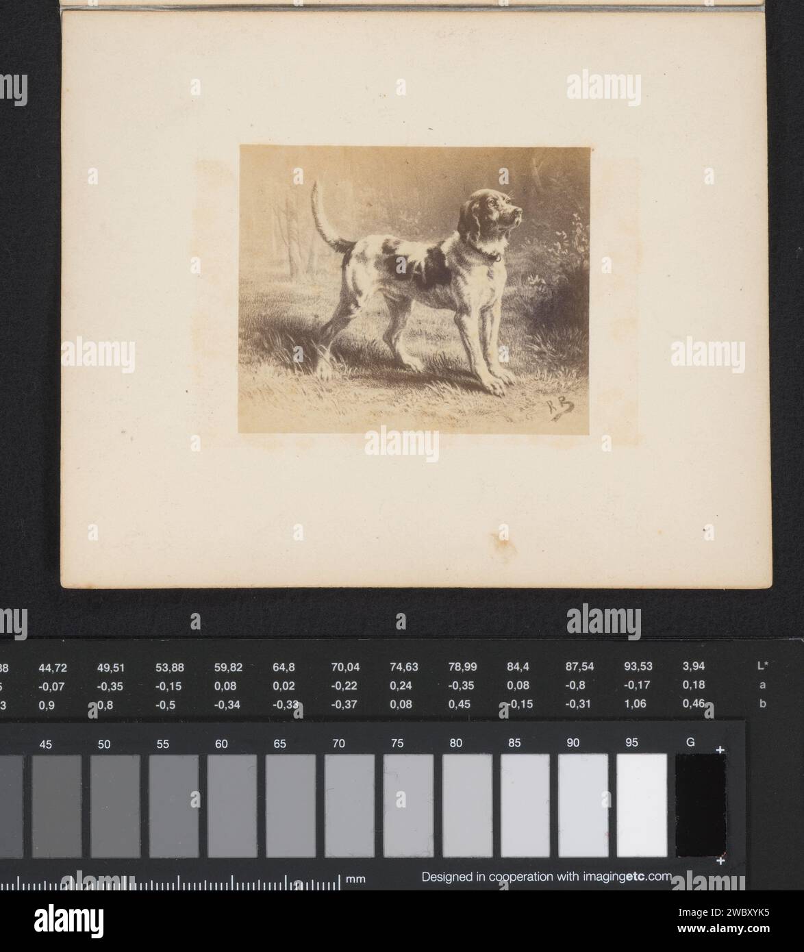 Photo production of a painting by Rosa Bonheur from a hunting dog ...