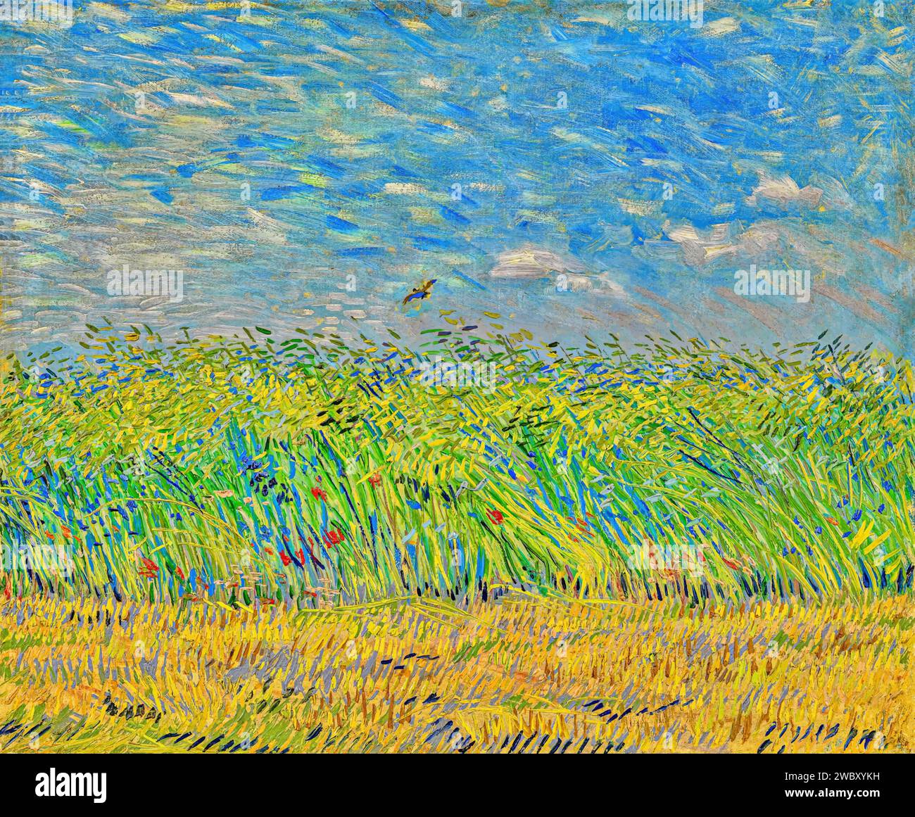 Wheatfield by van gogh Stock Vector Images - Alamy