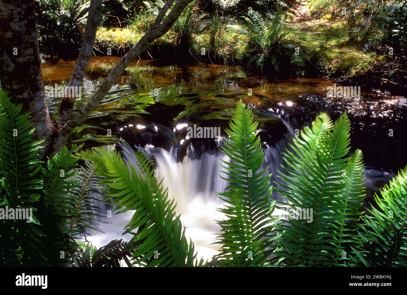 Stream with small waterfall hi-res stock photography and images - Alamy