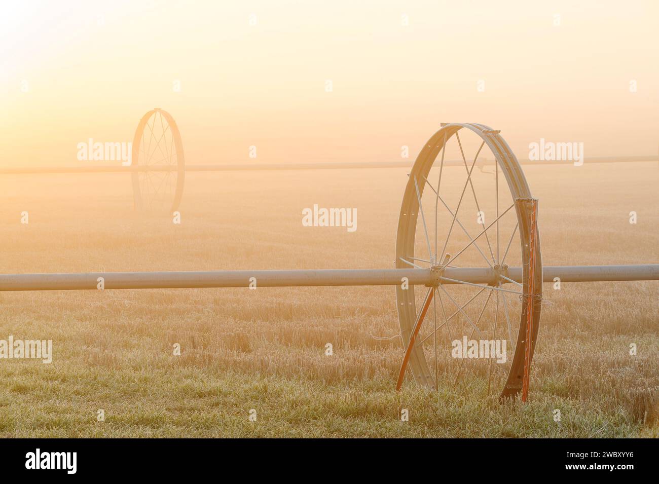 Ice on irrigation farm field hi-res stock photography and images - Alamy