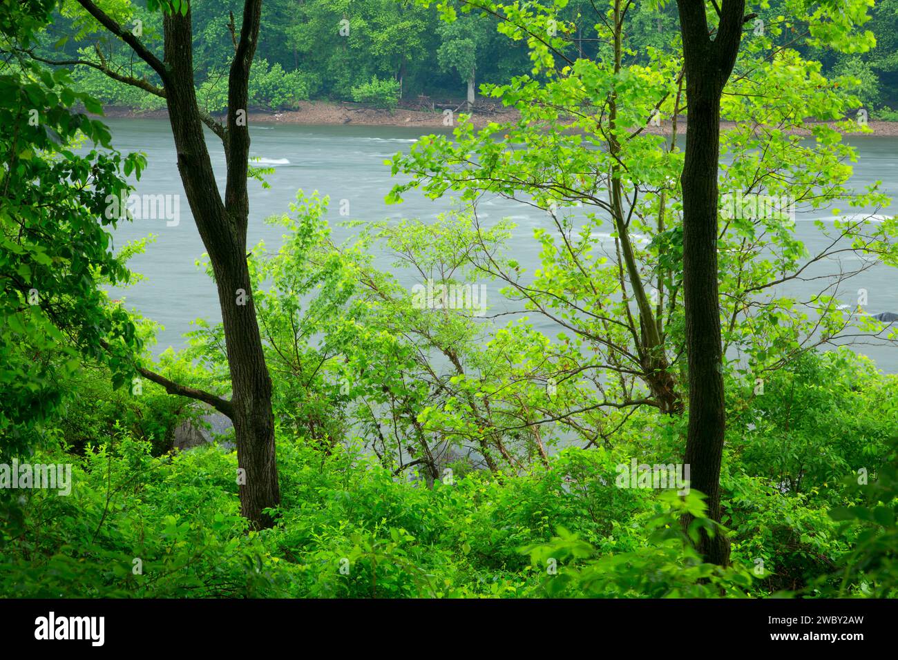 Delaware River, Delaware & Raritan Canal State Park, New Jersey Stock ...