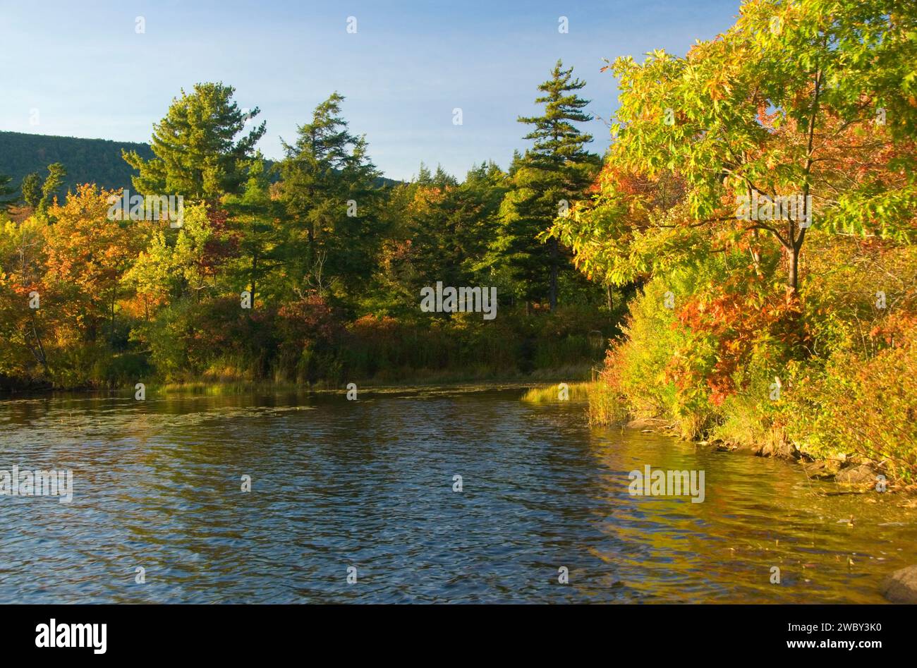 North Lake, Catskill Forest Preserve, New York Stock Photo - Alamy