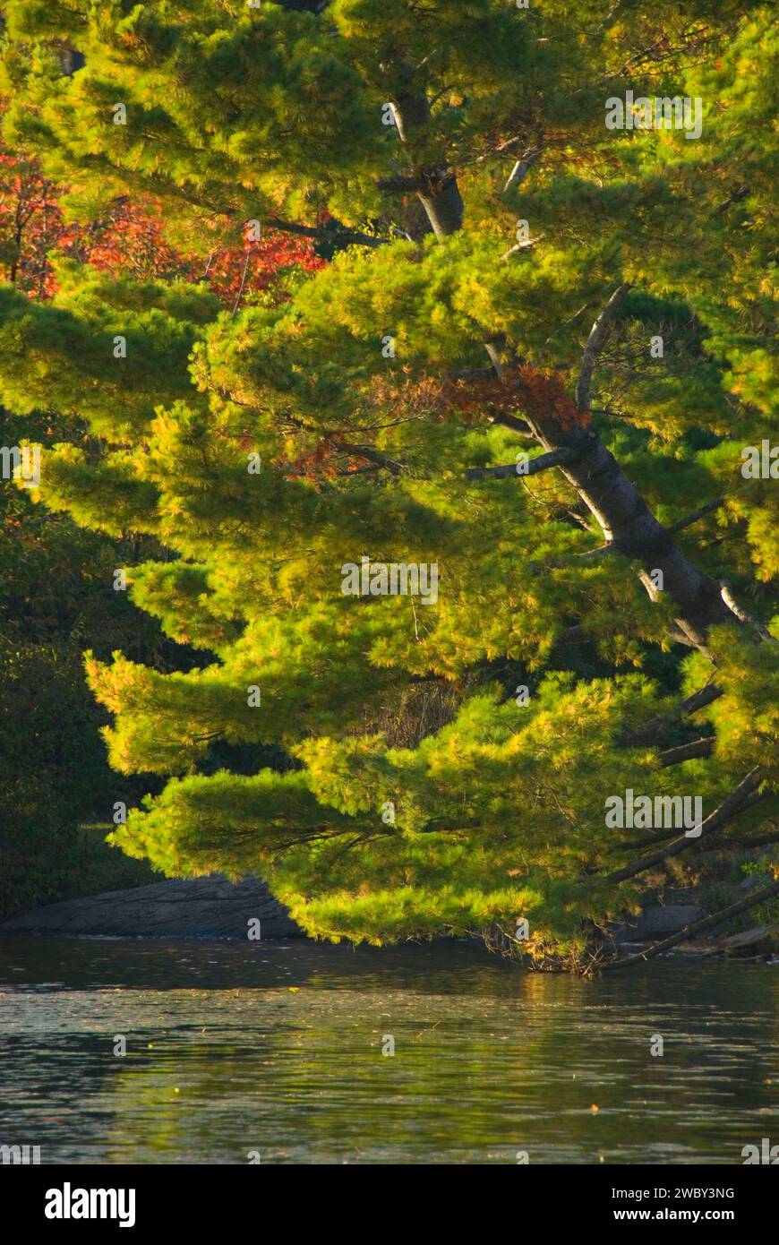 North Lake, Catskill Forest Preserve, New York Stock Photo - Alamy